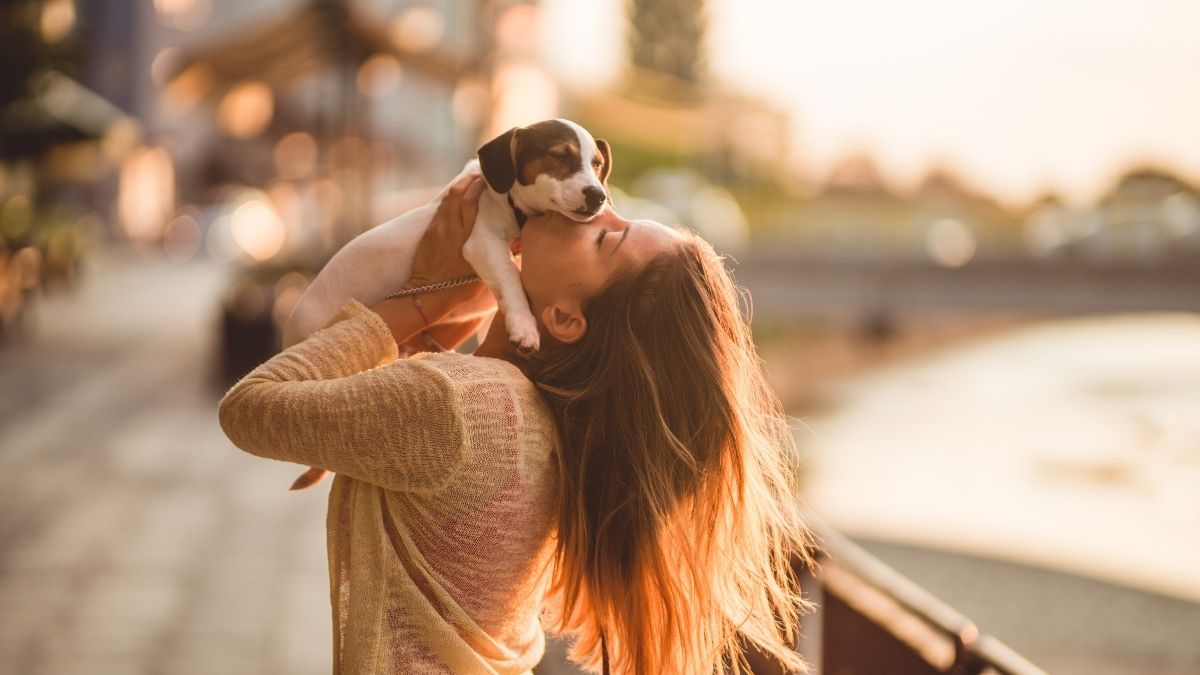 ¿Mi perro puede comer huevo? Cantidad segura y beneficios — Mi Perrijo
